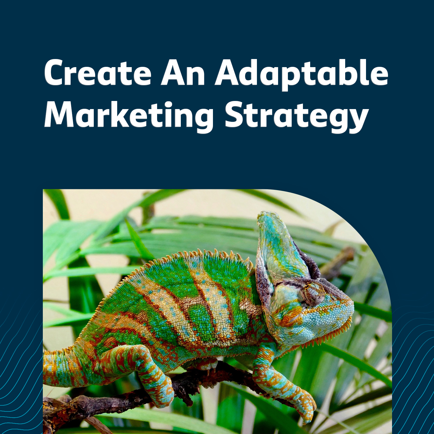 How to Create an Adaptable Marketing Strategy that Will Survive Any ...