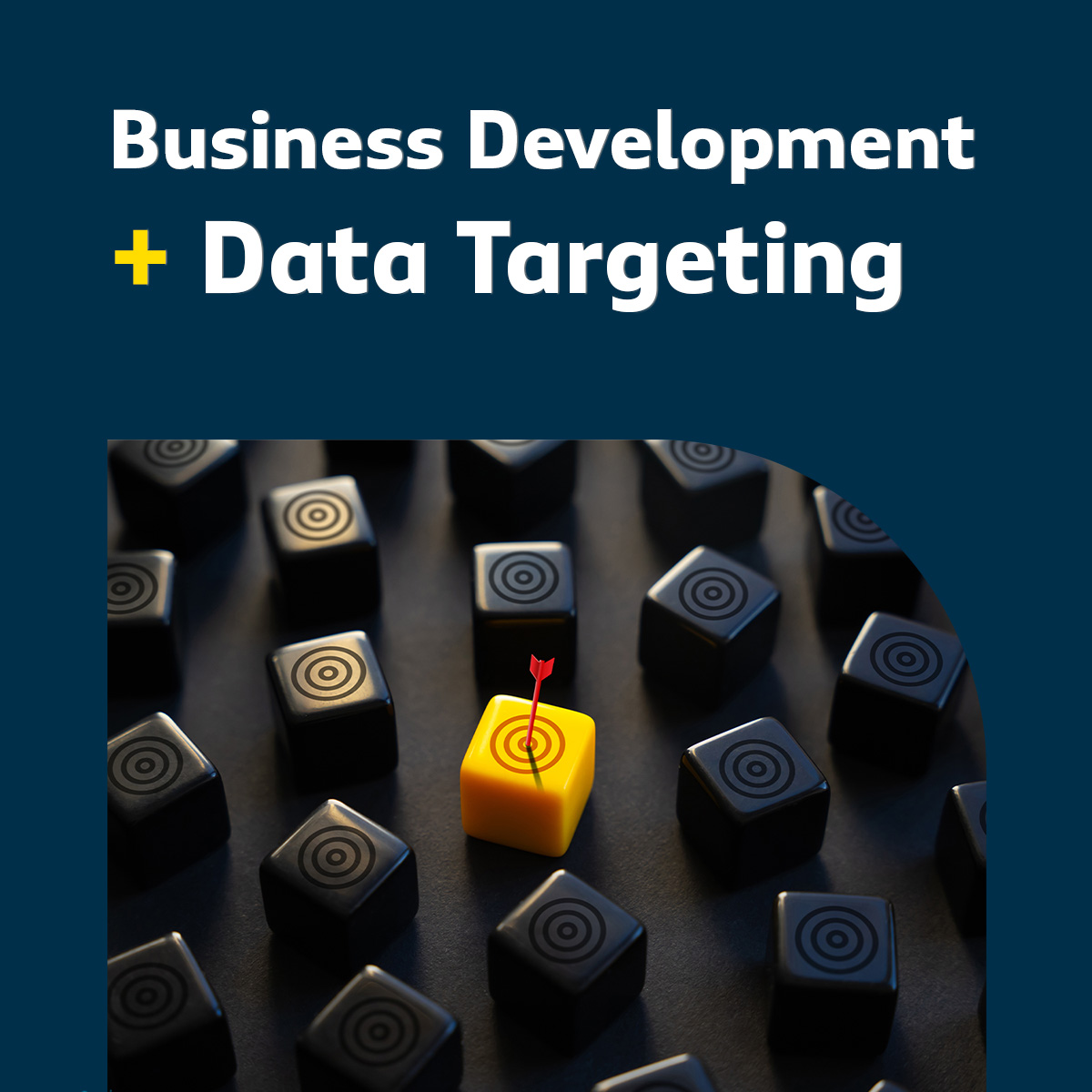 Business Growth: Harnessing the Power of Data Targeting » Axies Digital